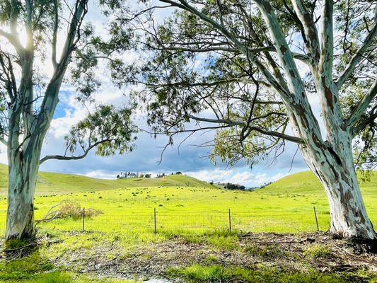 SANDY WOOL LAKE - Updated December 2025 - 121 Photos & 21 Reviews ...