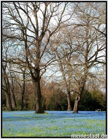 GLACIS PARK - Liebknechtstraße, Magdeburg, Sachsen-Anhalt, Germany ...