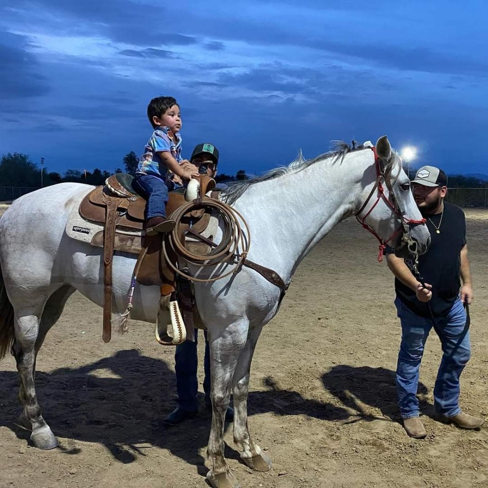 WILDCAT RANCH - Updated January 2025 - 27 Photos - 2148 E Desert Ln ...