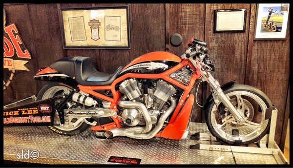 THE WICKED WHEEL BAR & GRILL - Updated January 2025 - 452 Photos & 766 ...