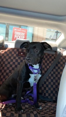 HUMANE SOCIETY OF SOUTHERN ARIZONA - Updated April 2025 - 51 Photos ...