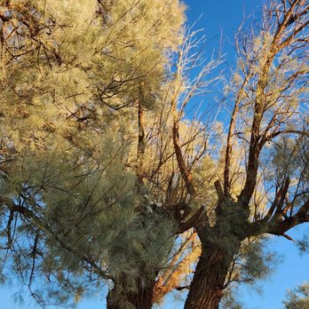 DELIGHT’S HOT SPRINGS - Updated October 2025 - 196 Photos & 125 Reviews ...