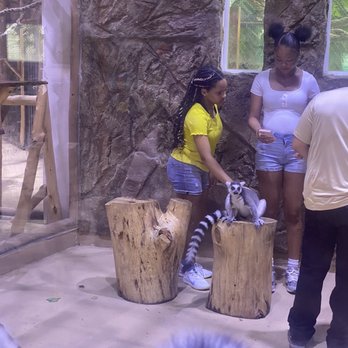 HOUSTON INTERACTIVE AQUARIUM AND ANIMAL ADVENTURE - Updated April 2025 ...