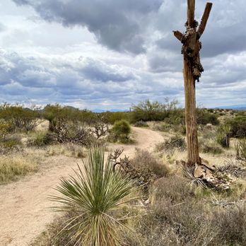 BROWN’S RANCH TRAILHEAD - 295 Photos & 37 Reviews - 30301 N Alma School ...