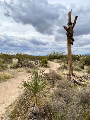 BROWN’S RANCH TRAILHEAD - 224 Photos & 35 Reviews - 30301 N Alma School ...