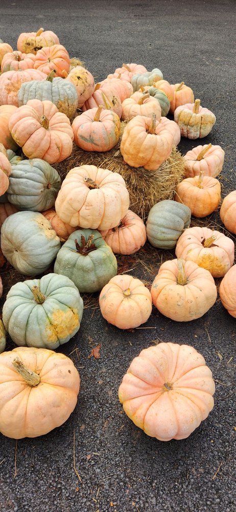 DETERING ORCHARDS - Updated October 2025 - 88 Photos & 49 Reviews ...