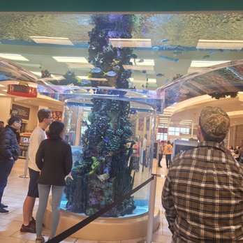 SCHEELS - Updated July 2025 - 680 Photos & 207 Reviews - 4450 ...