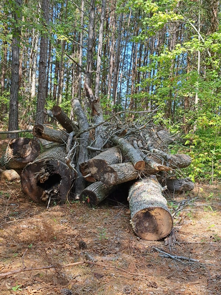 CLARK’S TREE REMOVAL - Updated June 2024 - 220 Cobb Rd, Pelzer, South ...