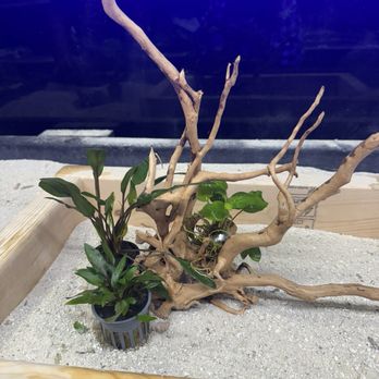 FLOATING SEA AQUATICS - Updated December 2025 - 290 Photos & 65 Reviews ...