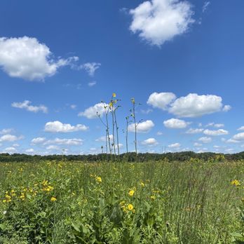 STRAWTOWN KOTEEWI PARK - Updated December 2025 - 106 Photos & 18 ...