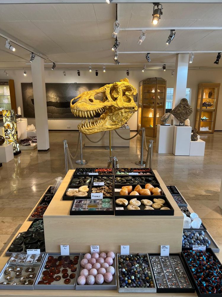 URWELTSTEINBRUCH HOLZMADEN - 11 Photos - Aichelberger Str. 75, Holzmaden, Baden-Württemberg ...