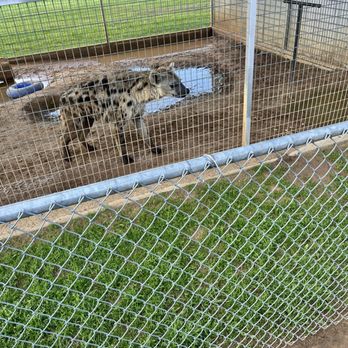 SHARKAROSA WILDLIFE RANCH - Updated January 2026 - 312 Photos & 136 ...