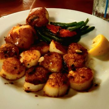 SEA WATCH ON THE OCEAN - Updated July 2025 - 1389 Photos & 928 Reviews ...