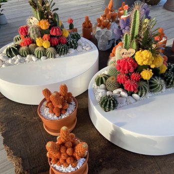 ISAAC FARMS - Updated July 2025 - 456 Photos & 113 Reviews - 18800 SW ...