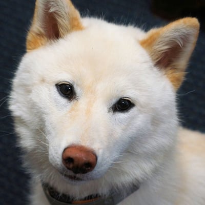 LIBERTY BAY AUTO - Updated March 2025 - 46 Photos & 107 Reviews - 20201 ...