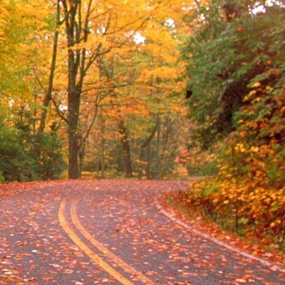 REGINA J BROWN - Updated December 2024 - 491 Baltimore Pike ...