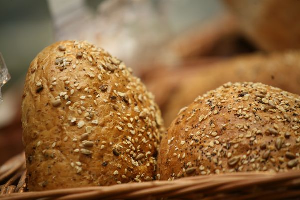 GORDON RIGGS GARDEN CENTRE - Updated September 2025 - 35 Photos ...