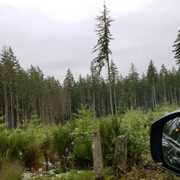 TAHUYA STATE FOREST 4X4 PARK - 78 Photos & 12 Reviews - Belfair ...