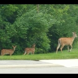 KOBACKER HOUSE-HOSPICE AT RIVERSIDE AND GRANT - 22 Photos - Hospice ...