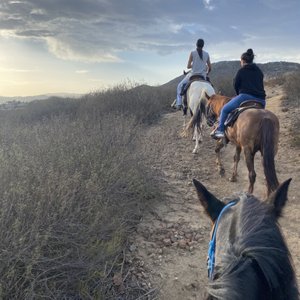 SUSIE Q RANCH - 197 Photos & 160 Reviews - 28330 Mary Pl, Murrieta ...