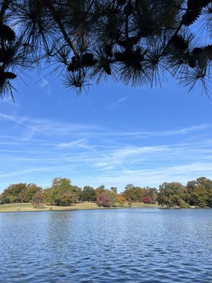 BYRD PARK - Updated December 2025 - 75 Photos & 38 Reviews - 600 S Blvd ...