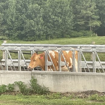 Book a Table - Howling Cow Dairy Education Center and Creamery ...