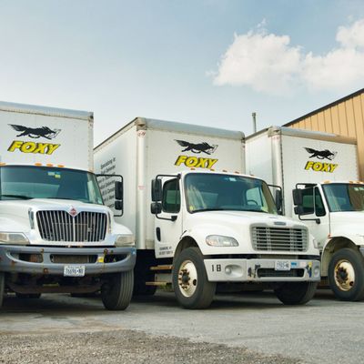 FOXY DELIVERY SERVICE - Updated October 2025 - 15 Photos - 256 Two Mile ...