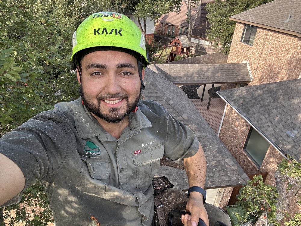 ARBOR CON TREE SOLUTIONS - Updated July 2025 - 14 Photos - 317 Cooper ...