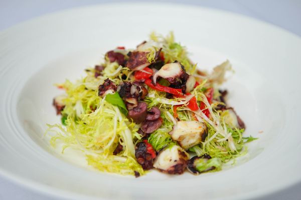 CUCINA VENTI RESTAURANT - Updated December 2024 - 1691 Photos & 1190 ...