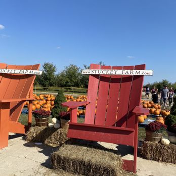 STUCKEY FARM ORCHARD AND CIDER MILL - Updated September 2025 - 195 ...