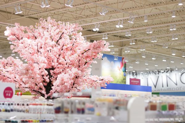 OOMOMO CAFÉ - Updated October 2025 - 14 Photos - 710 St James St, Winnipeg, Manitoba - Coffee ...