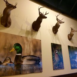 THE TRACE GRILL - Updated December 2025 - 86 Photos & 180 Reviews - 574 ...