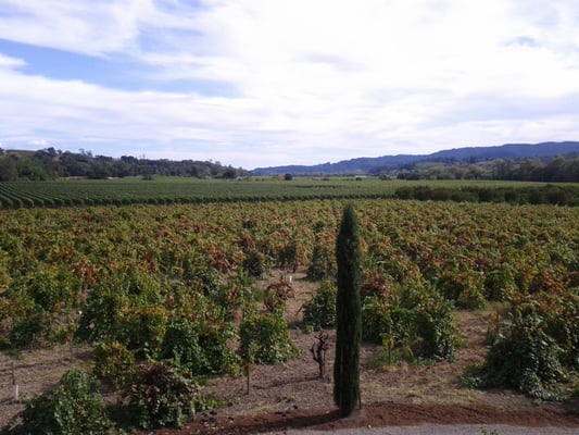 YOAKIM BRIDGE WINERY - 20 Photos & 39 Reviews - 7209 Dry Creek Rd ...