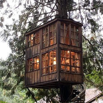 Treehouse Point - 189 Photos & 80 Reviews - Bed & Breakfast - 6922 ...