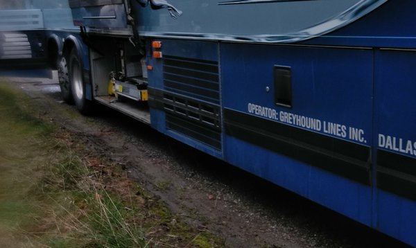 GREYHOUND BUS - 22 Photos & 135 Reviews - 503 S Royal Brougham Way ...