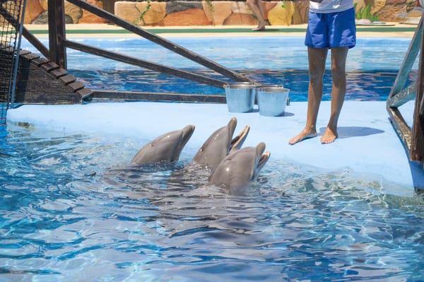 MUNDOMAR - Updated October 2025 - 13 Photos & 13 Reviews - Calle Sierra ...