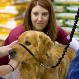 Good Neighbor Vet Reviews | Read Customer Service Reviews of ...