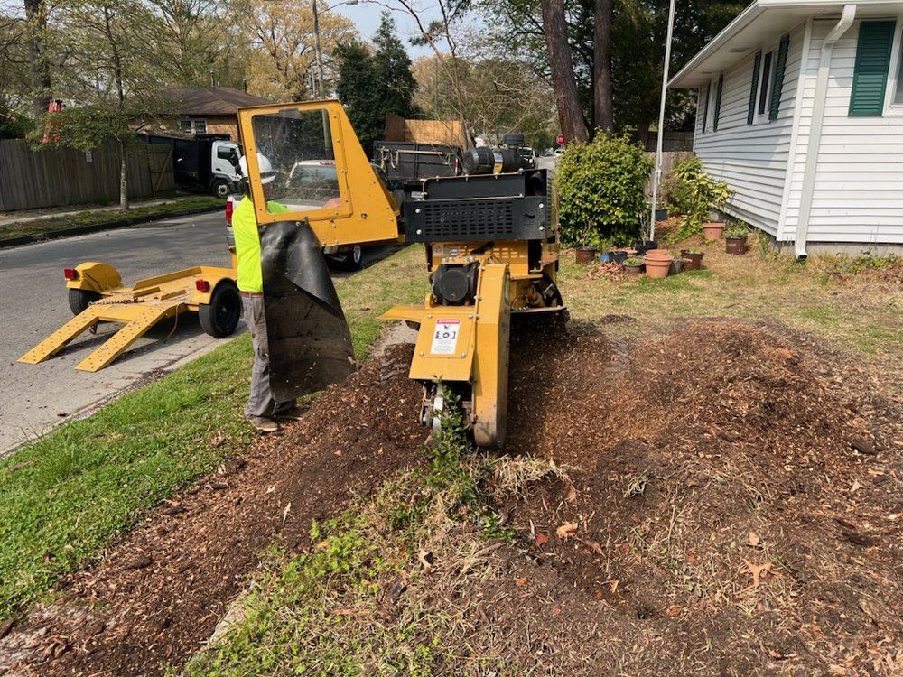 DICKERSON TREE SERVICE - Updated October 2025 - Norfolk, Virginia ...