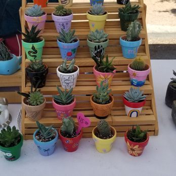 ALAMO RANCH POP UP MARKET - Updated December 2025 - 21 Photos - 10415 ...