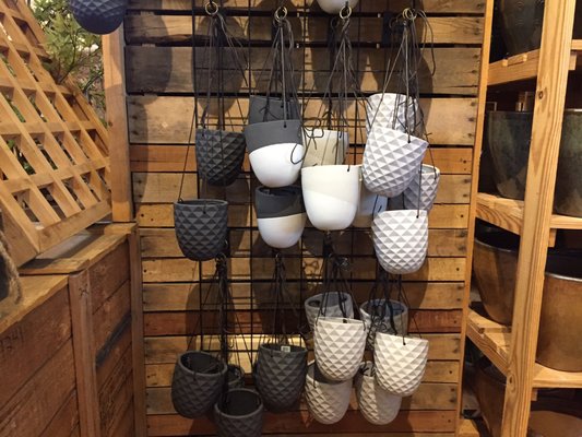 BRIGGS NURSERY - 121 Photos & 56 Reviews - 295 Kelley Blvd, North ...