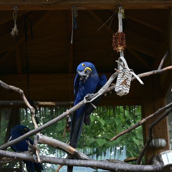 ROGER WILLIAMS PARK ZOO - Updated November 2024 - 1170 Photos & 297 ...