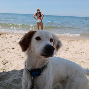 COVERT PARK BEACH AND CAMPGROUND - Updated September 2025 - 34 Photos ...