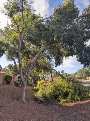 MOON VALLEY NURSERIES - Updated October 2025 - 105 Photos & 86 Reviews ...