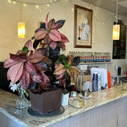 CLOVER BAKERY & CAFE - Updated December 2025 - 2363 Photos & 1342 ...