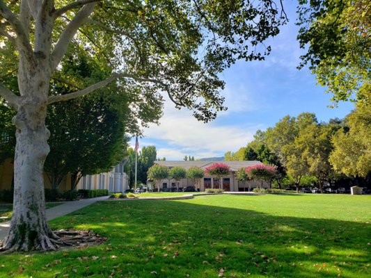 DANVILLE LIBRARY - Updated August 2025 - 57 Photos & 49 Reviews - 400 ...