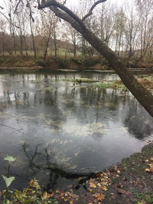 ROY LAUGHLIN PARK - Updated December 2025 - Rte 66, Waynesville ...