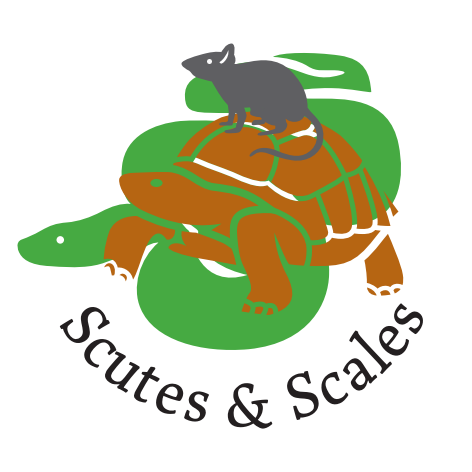 SCUTES AND SCALES - Updated January 2026 - 140 W River St, Cadillac ...