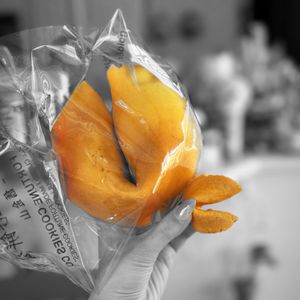 PHOTOWORKS - Updated December 2025 - 125 Photos & 351 Reviews - 2279 ...