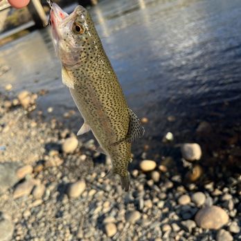 JOHNSONDALE BRIDGE RIVER TRAIL - Updated December 2025 - 30 Photos - 26 ...