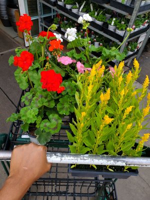 ADAMS FAIRACRE FARMS - Updated May 2024 - 127 Photos & 143 Reviews ...